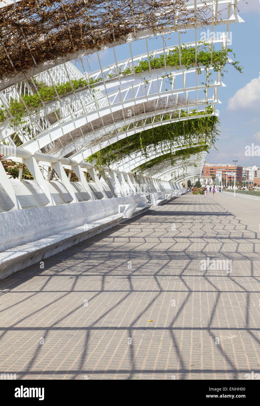 Umbracle hi-res stock photography and images - Alamy