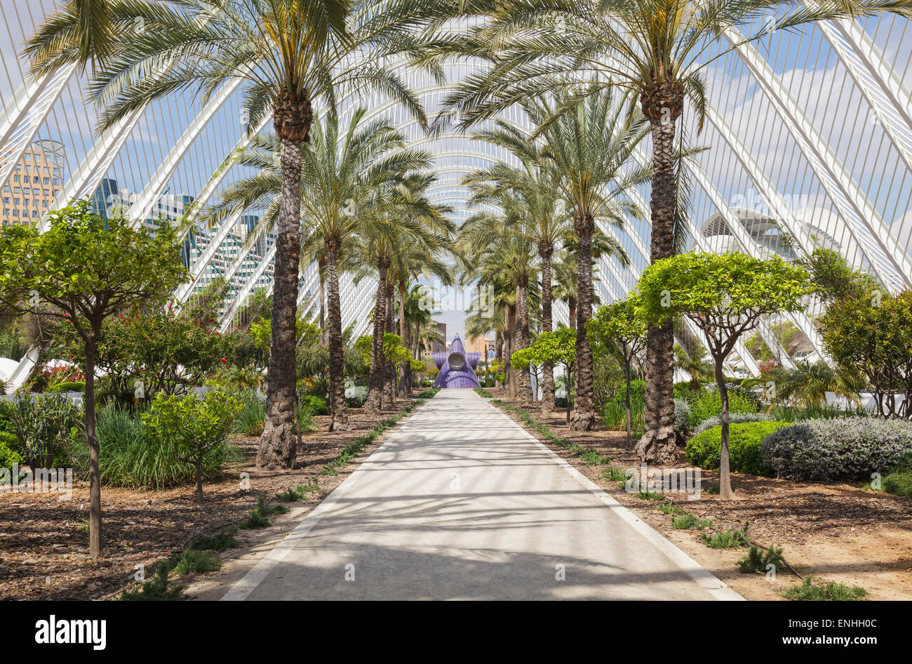 The City of Arts and Sciences, Umbracle, Valencia, Spain Stock Photo ...