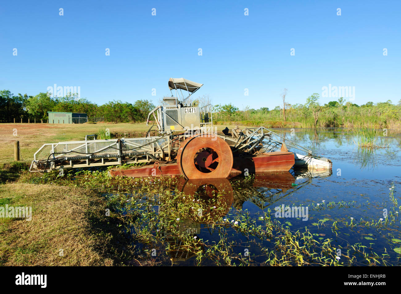 Water lily control hi-res stock photography and images - Alamy