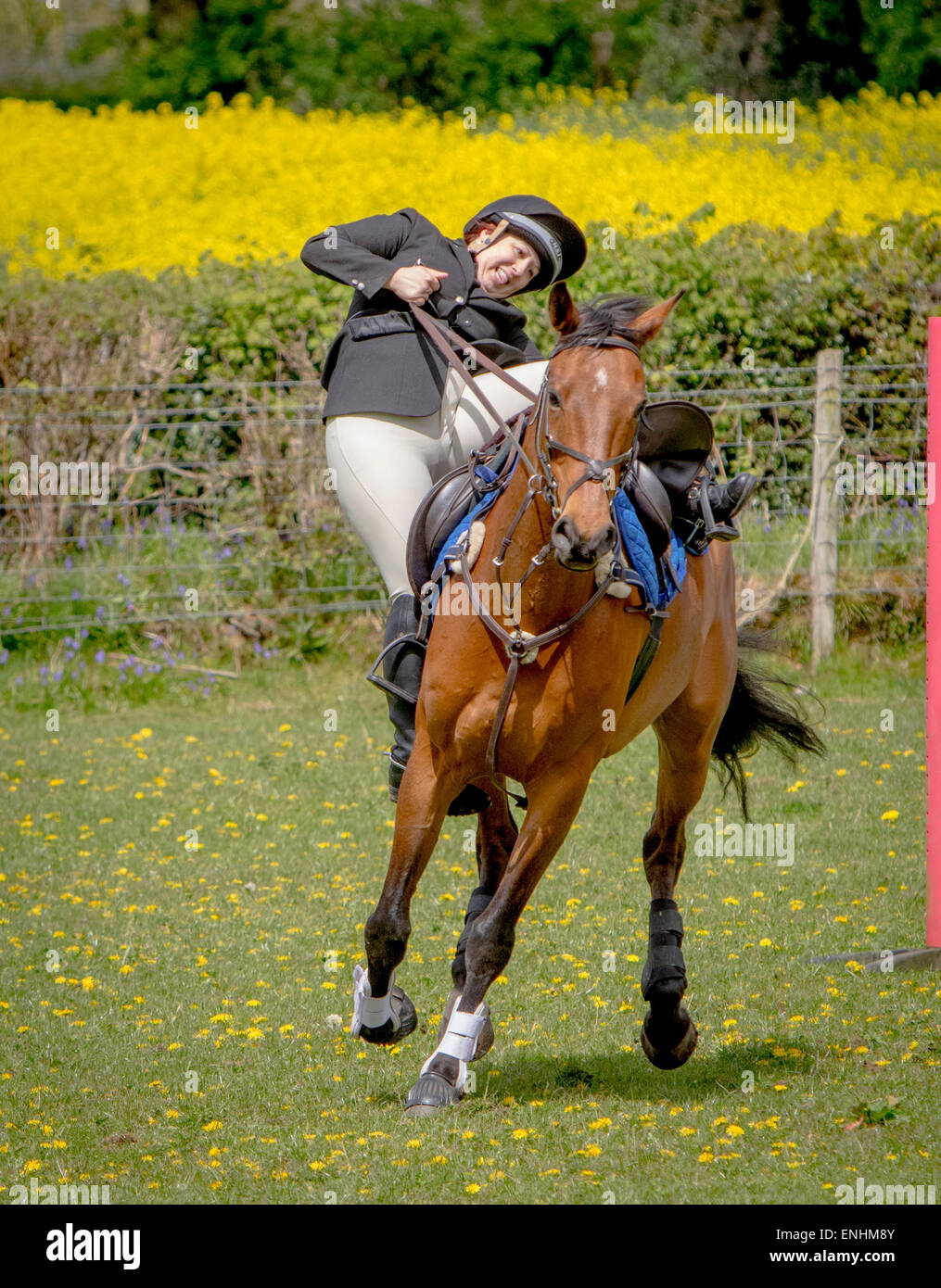 Karen Newey riding her horse "Cricket" takes a fall after coming ...