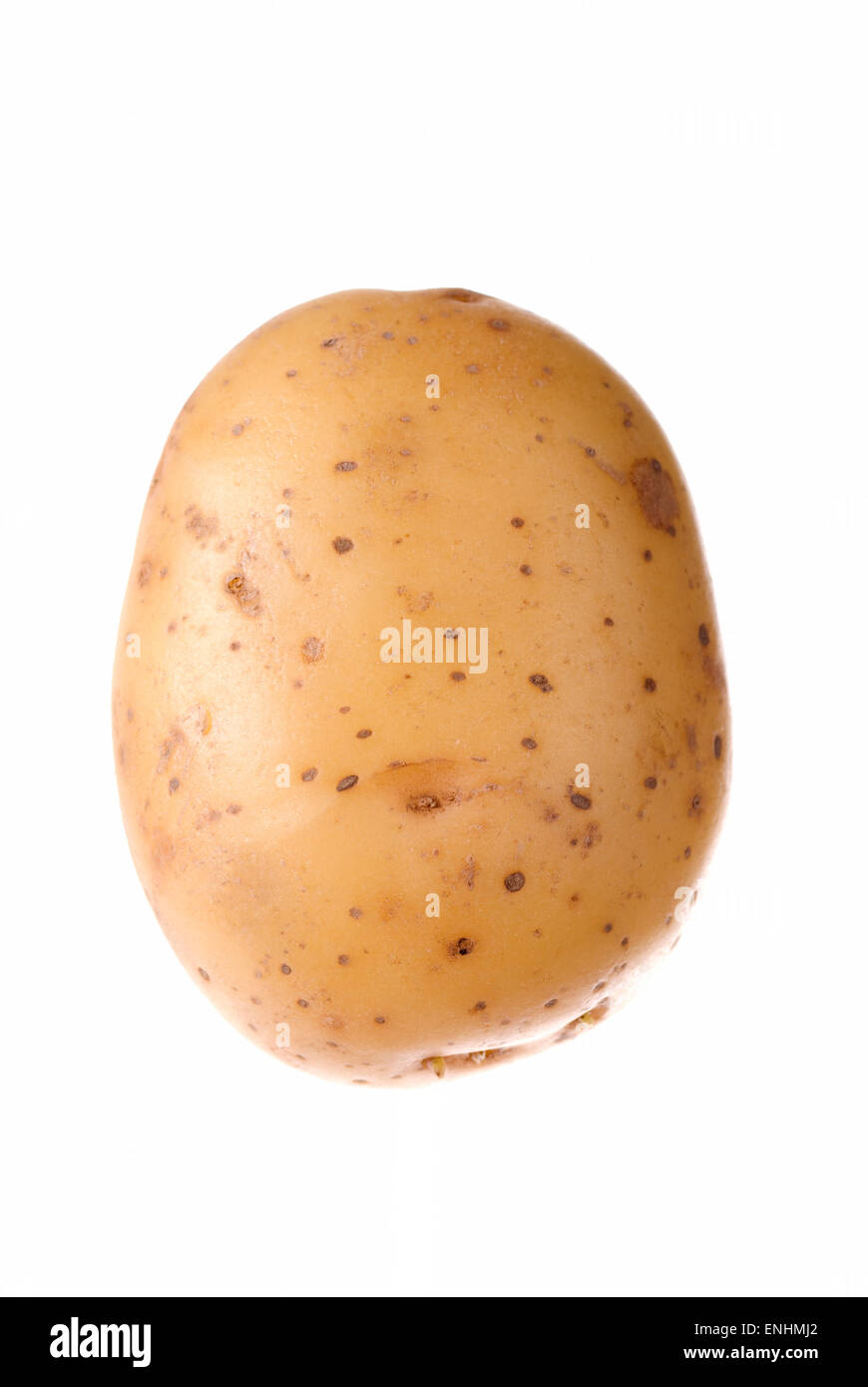 One raw potato on white background close up Stock Photo - Alamy