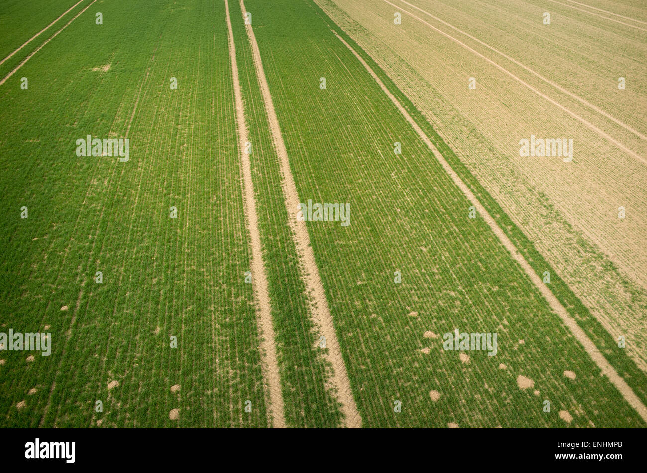 Aerial view of the large green field Stock Photo - Alamy