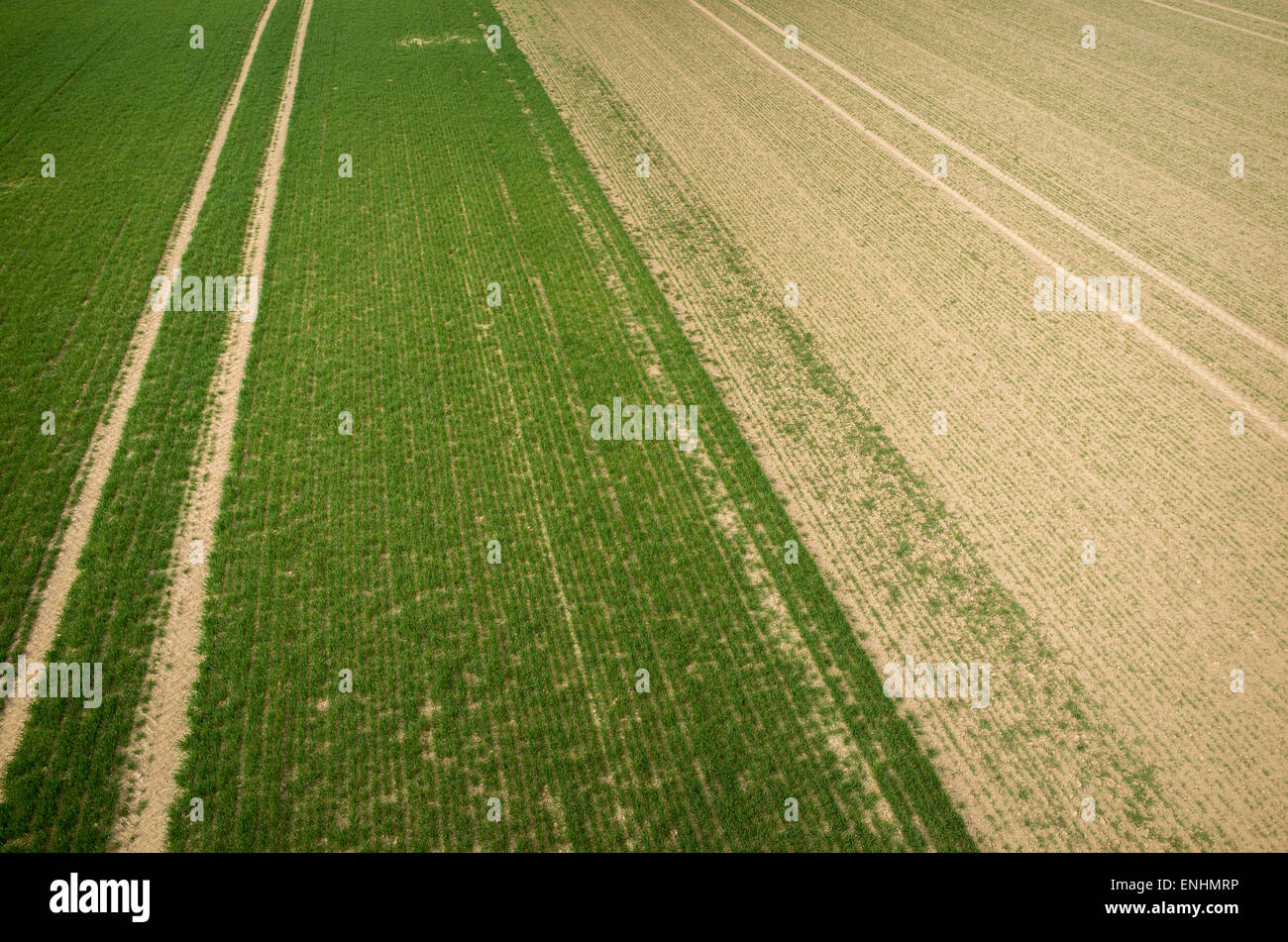 Aerial view of the large green field Stock Photo - Alamy