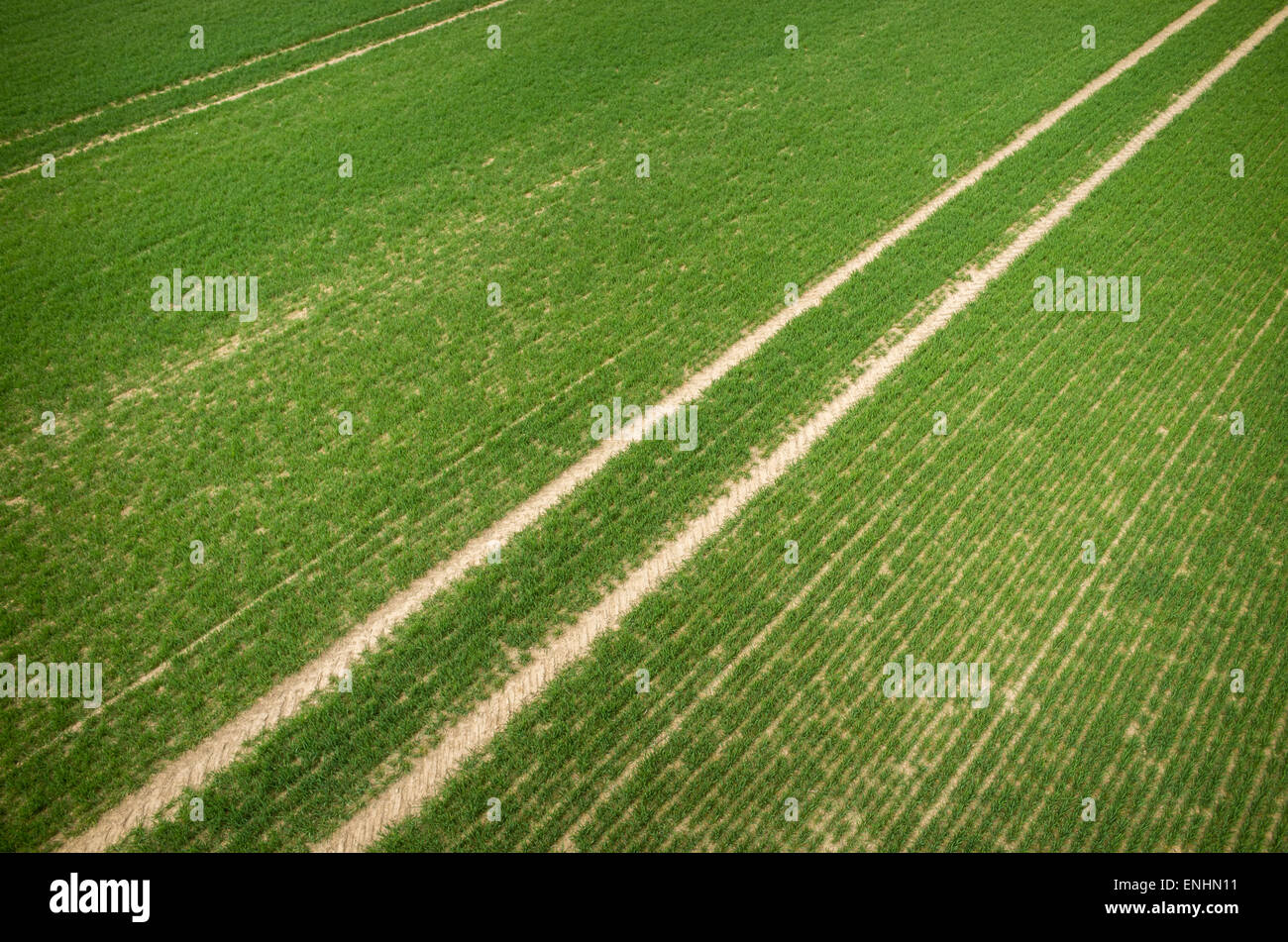Aerial view of the large green field Stock Photo - Alamy