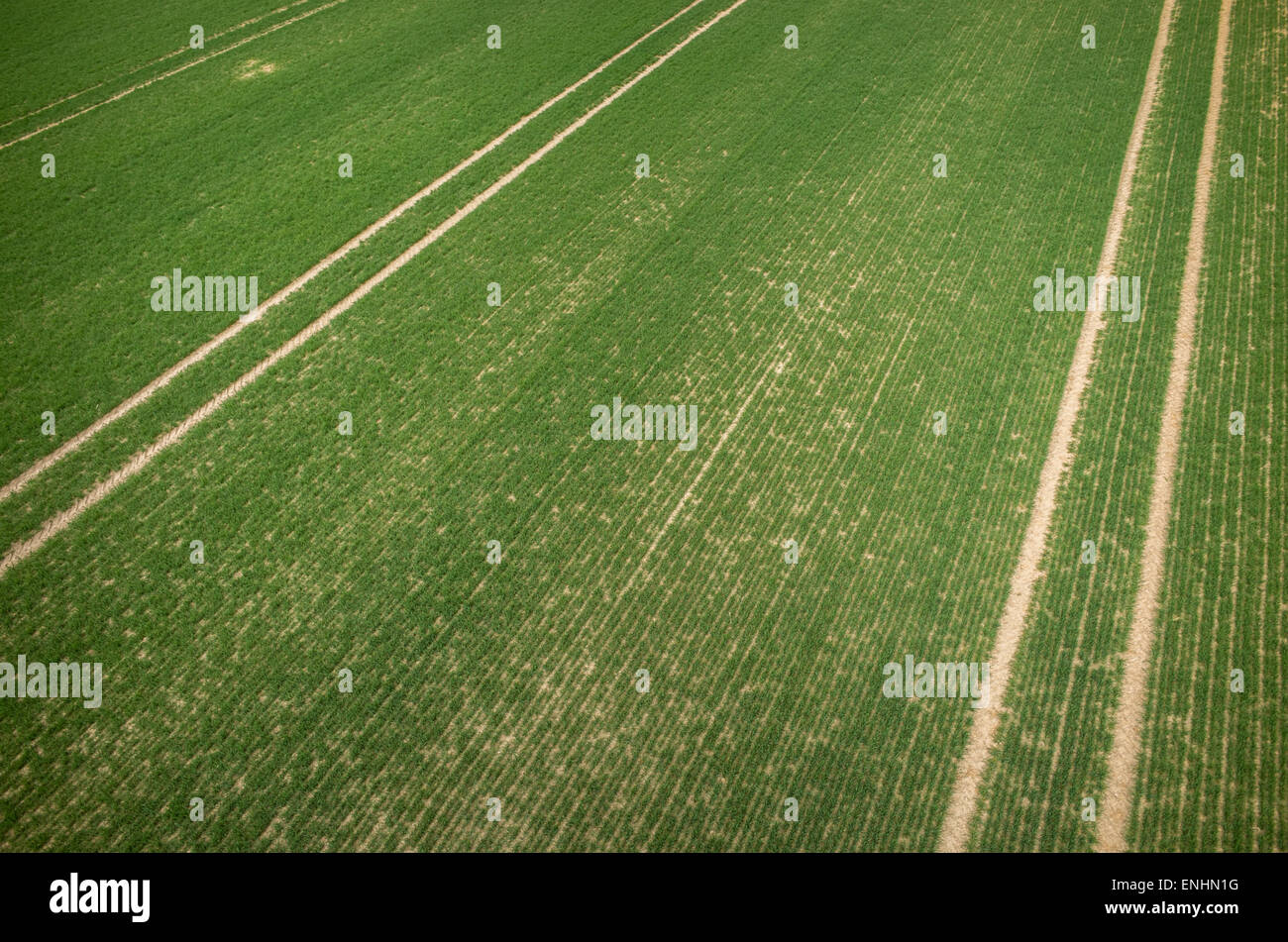 Aerial view of the large green field Stock Photo - Alamy