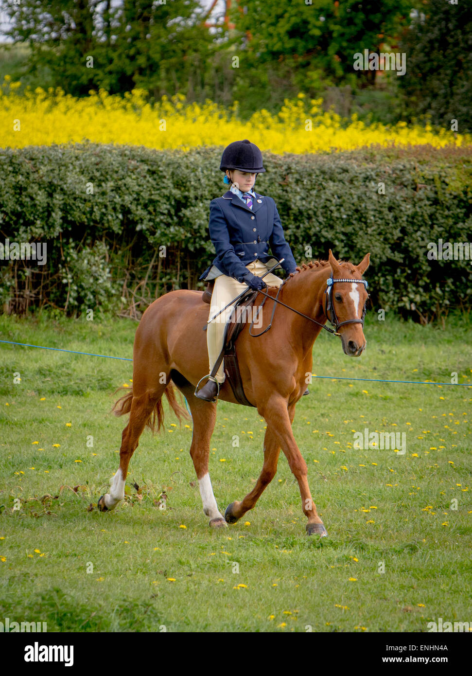 Riders and their horses take part in a local Riding Club Show held at ...