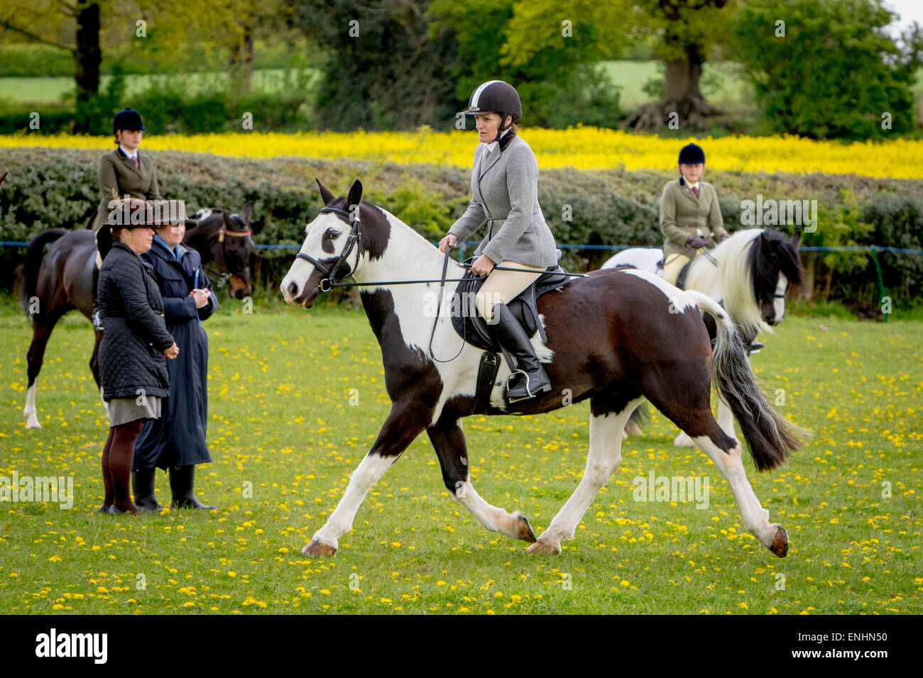 Riders and their horses take part in a local Riding Club Show held at ...