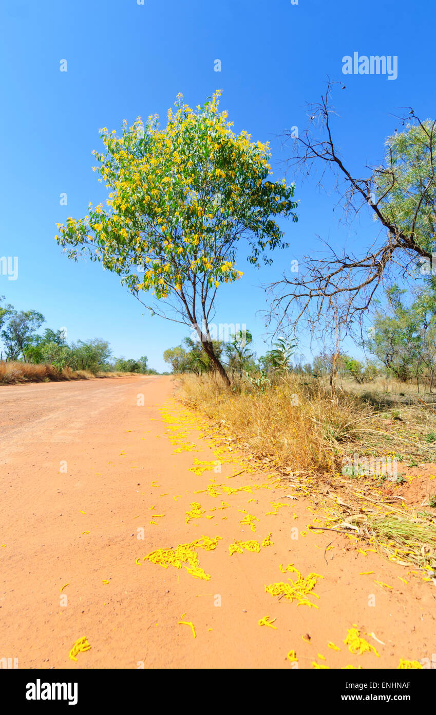 Gibb River Road, Kimberley, Western Australia Stock Photo - Alamy