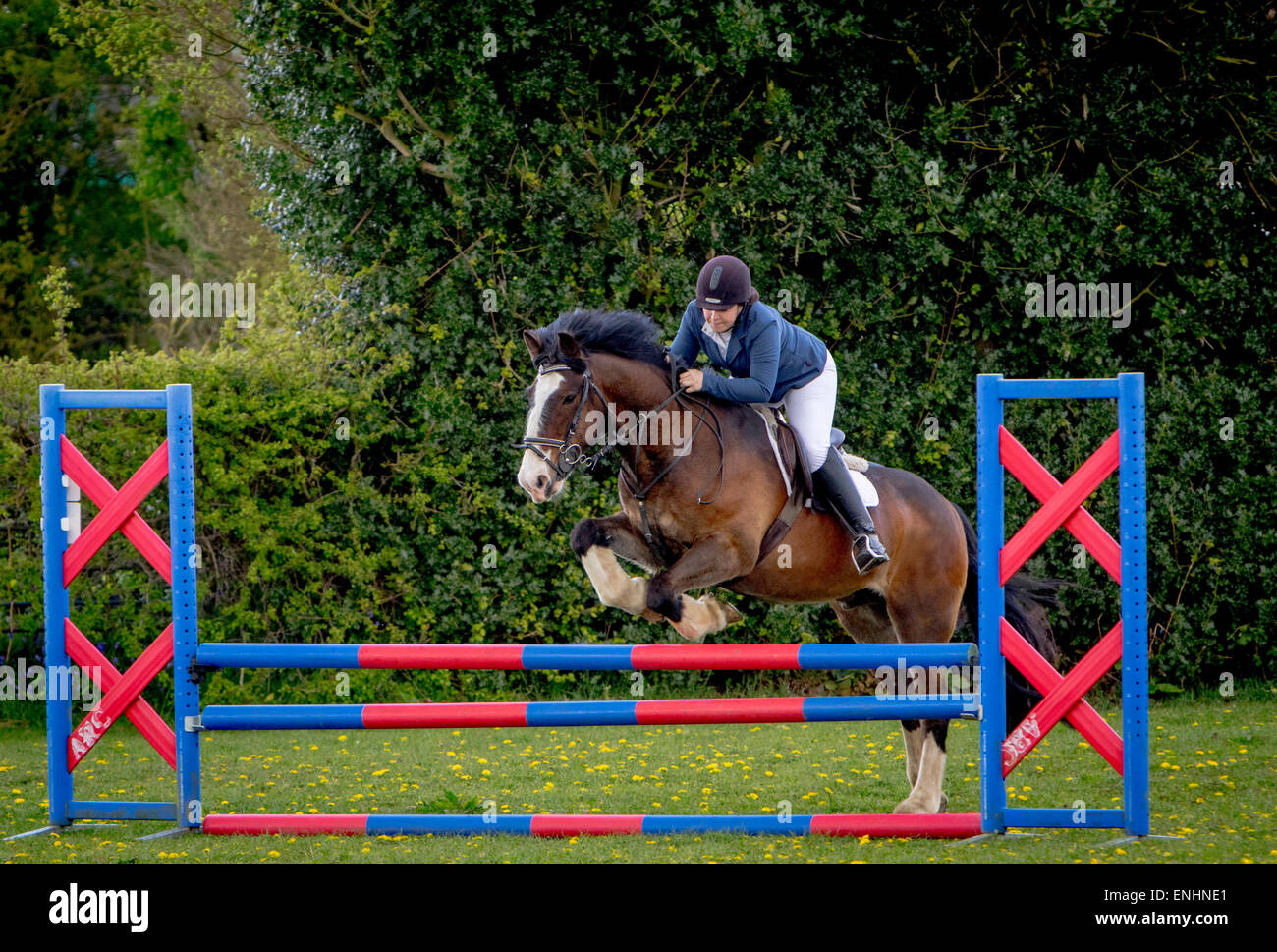 Riders and their horses take part in a local Riding Club Show held at ...
