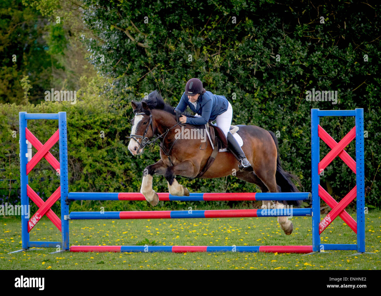 Riders and their horses take part in a local Riding Club Show held at ...