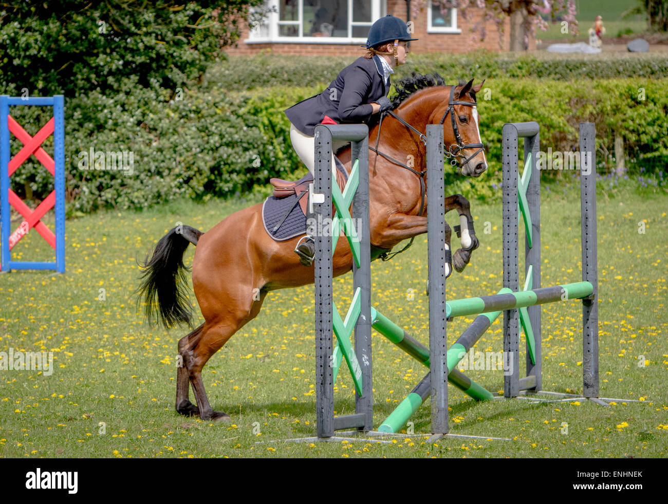 Riders and their horses take part in a local Riding Club Show held at Alvechurch, Worcestershire ...