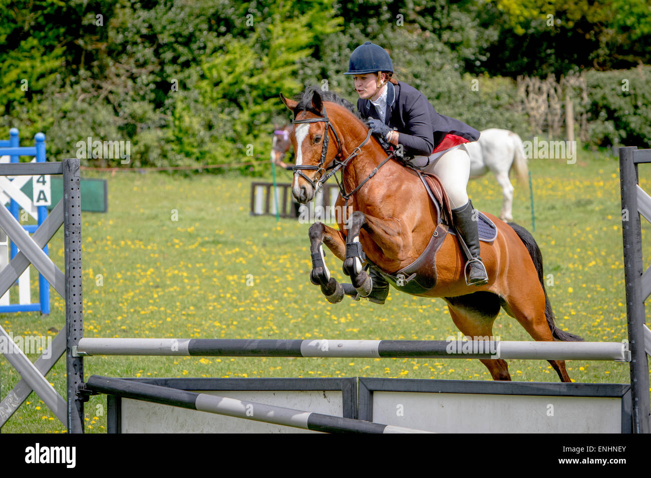 Riders and their horses take part in a local Riding Club Show held at ...