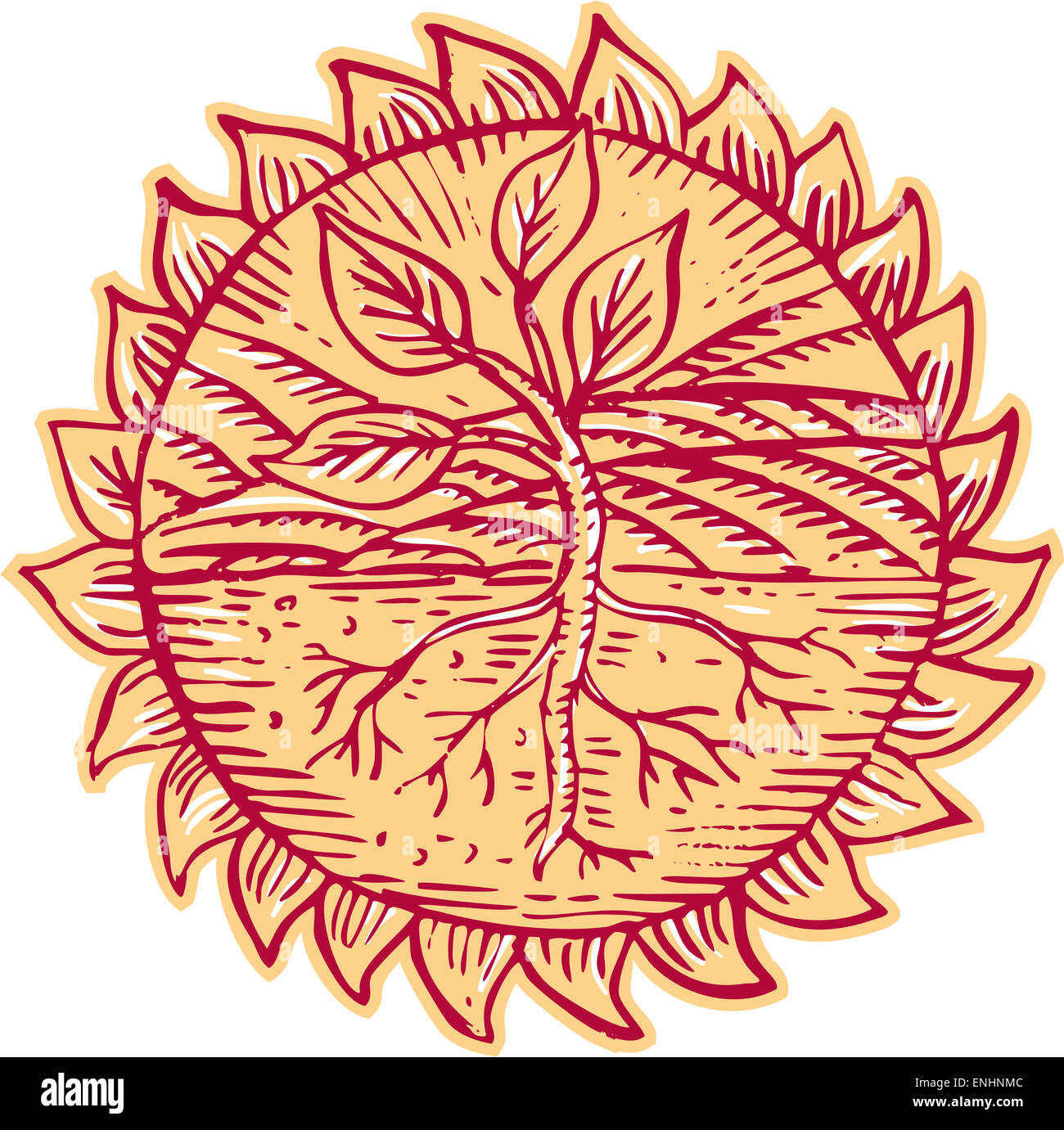 Etching engraving handmade style illustration of a plant with leaves ...