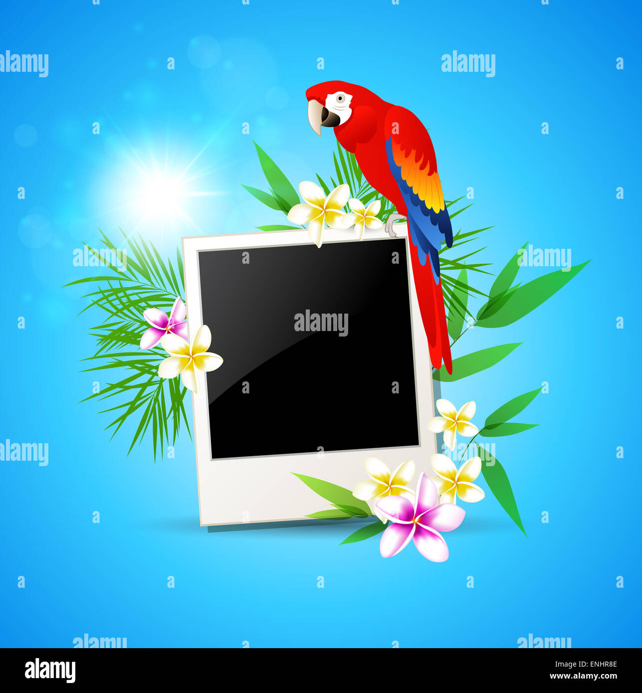 Summer blue background with red parrot and photo Stock Photo - Alamy
