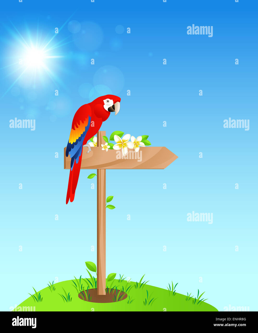 Summer blue background with red parrot and flowers Stock Photo - Alamy