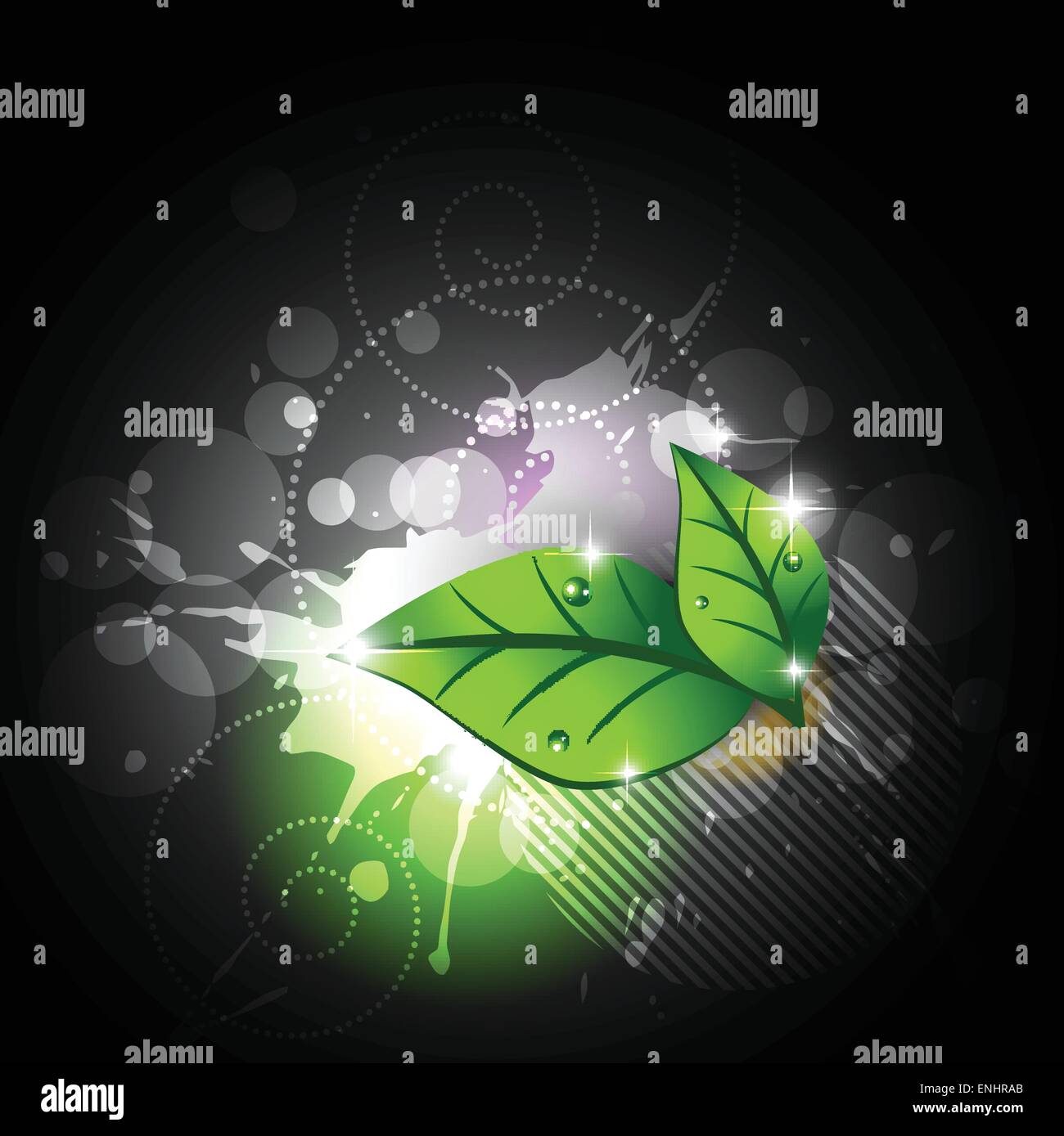 Shiny leaf plant Stock Vector Images - Alamy