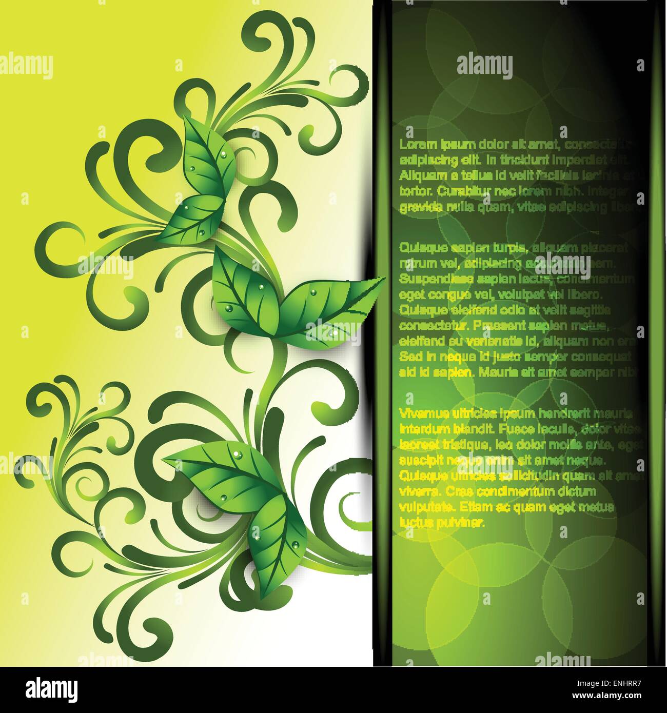 Beautiful leaf Stock Vector Images - Alamy