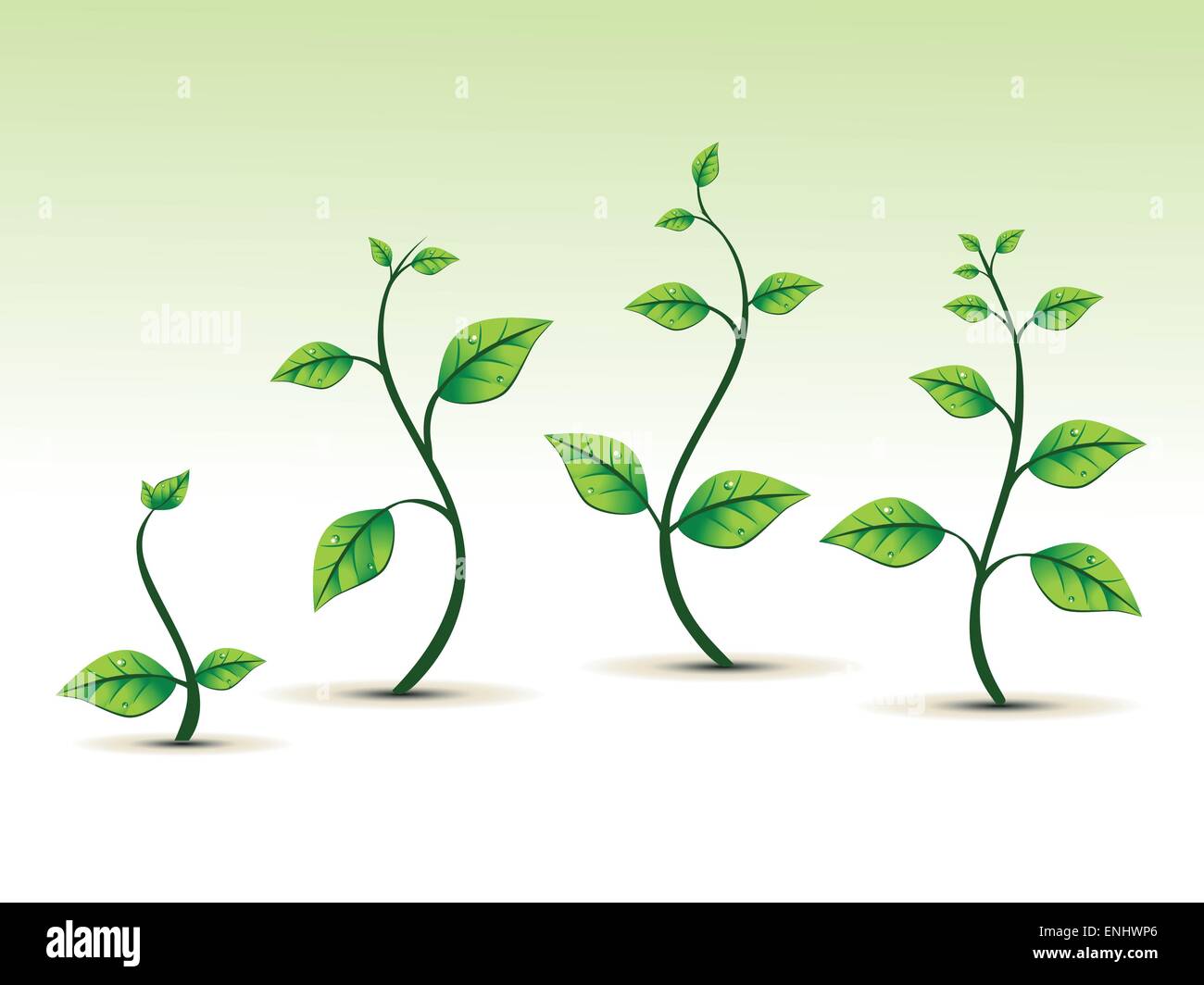 vector growing leaf design illustration Stock Vector Image & Art - Alamy