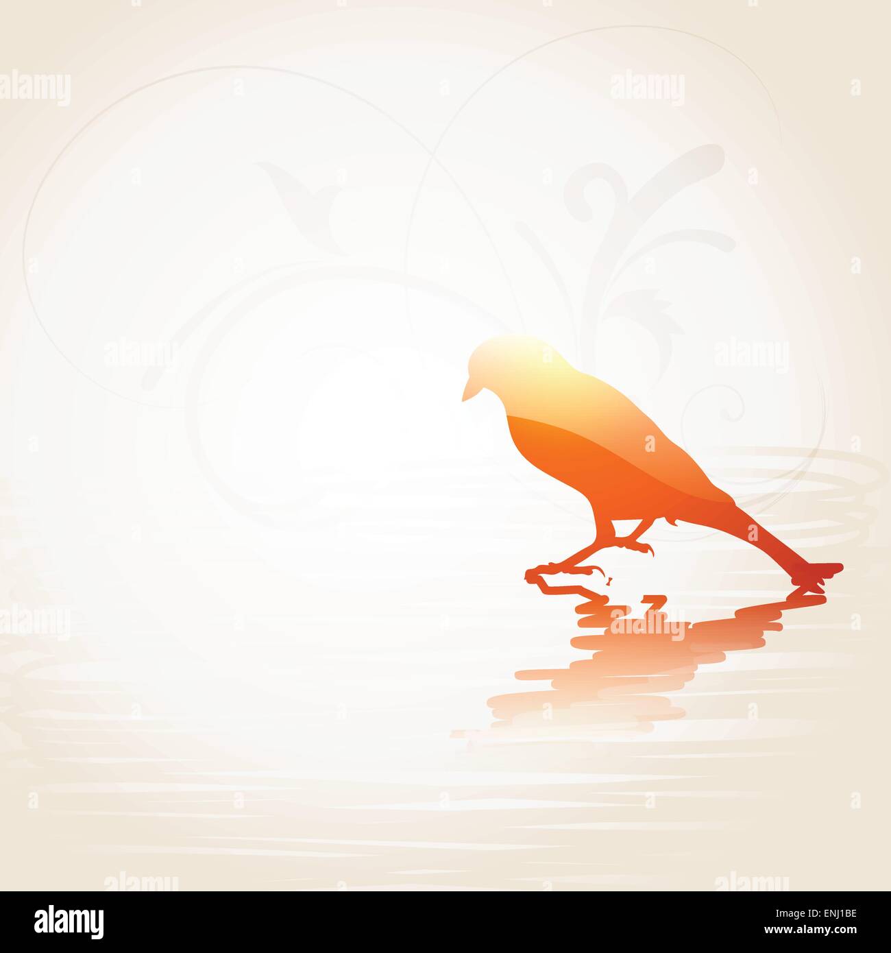vector beautiful bird on water Stock Vector Image & Art - Alamy