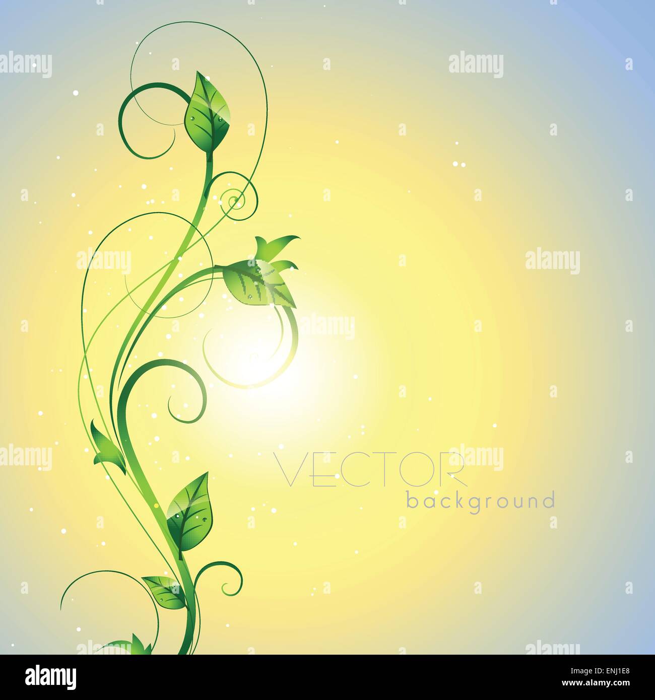 beautiful floral design vector art Stock Vector Image & Art - Alamy