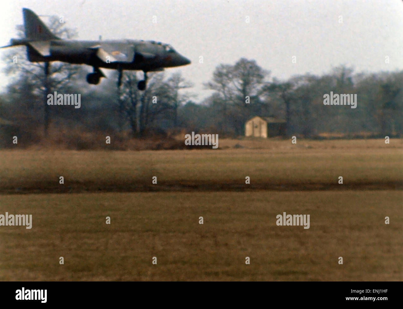 P 1127 kestrel hi-res stock photography and images - Alamy