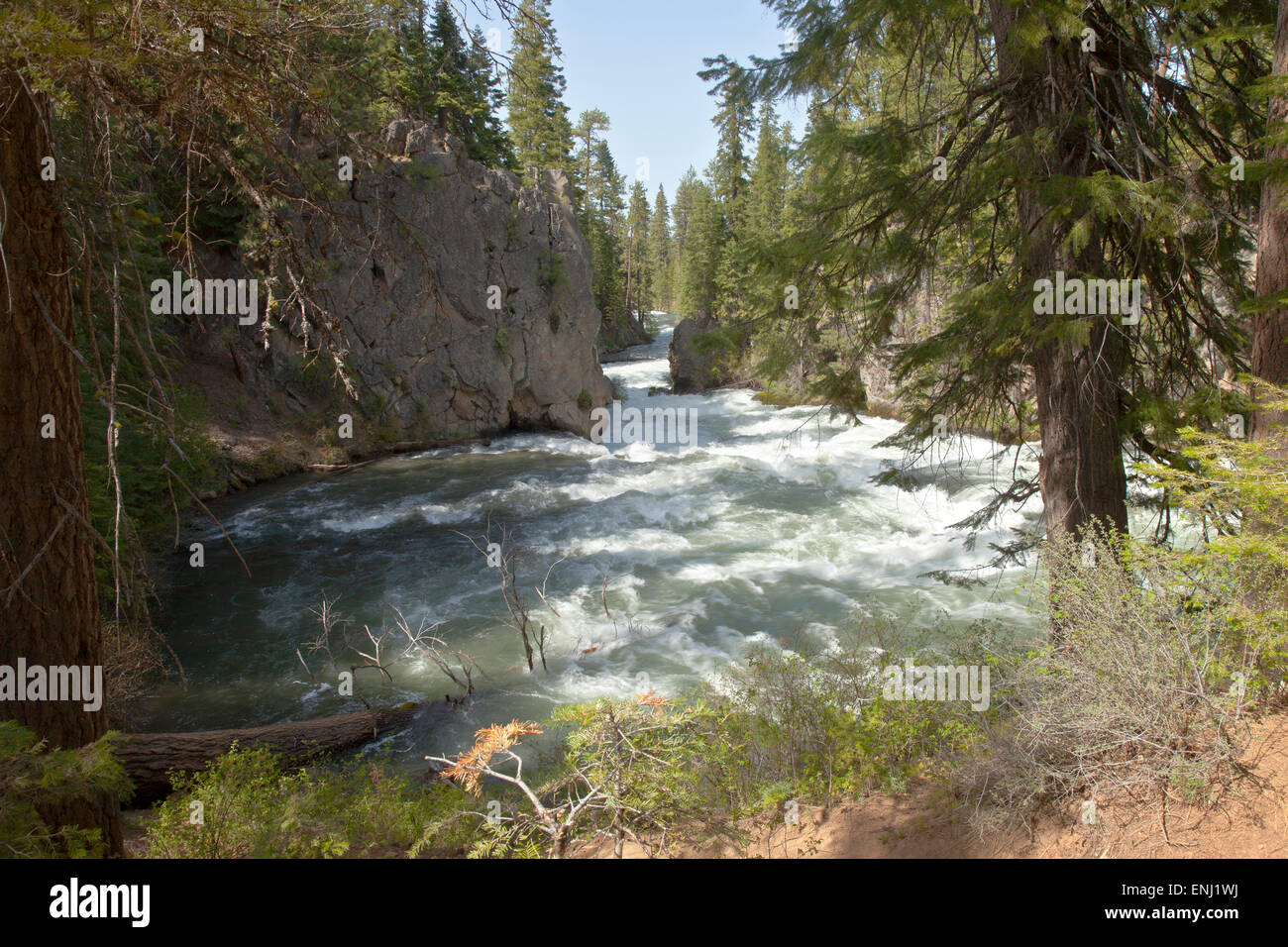 Rushing river-flow in central Oregon forest Stock Photo - Alamy