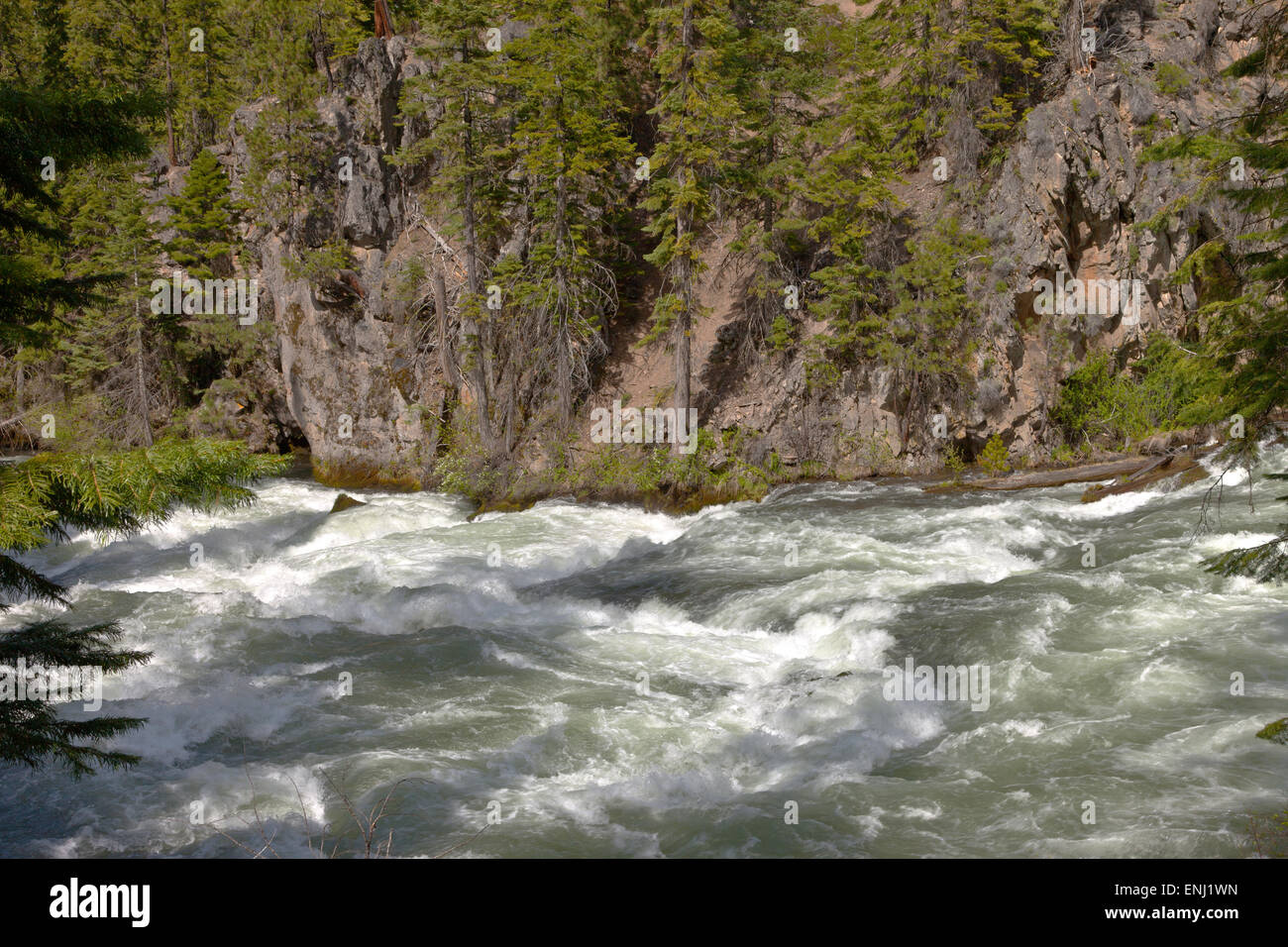 Rushing river-flow in central Oregon forest Stock Photo - Alamy