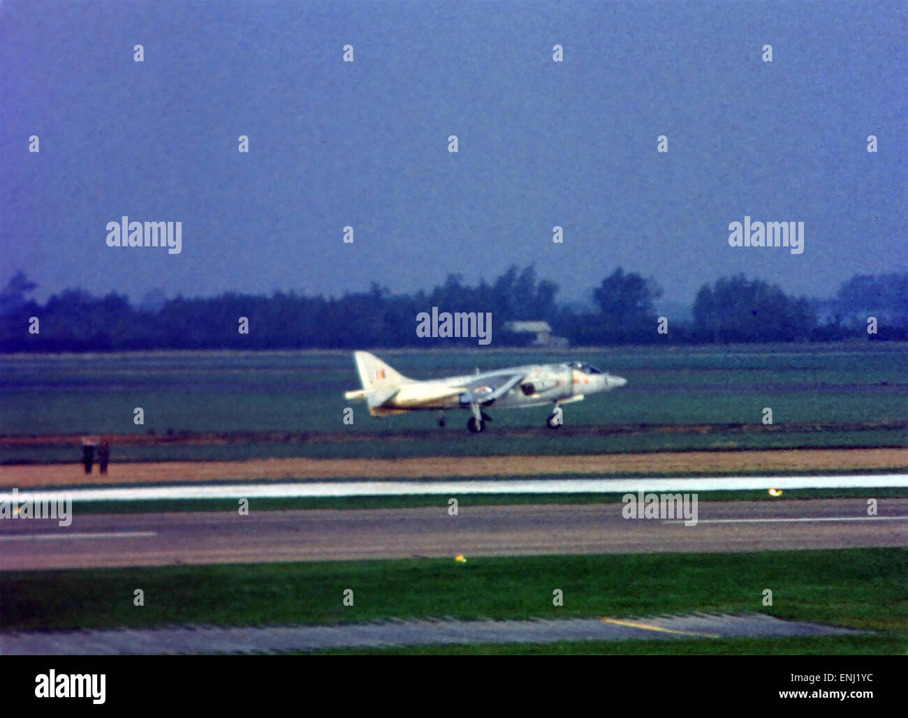 P 1127 kestrel hi-res stock photography and images - Alamy
