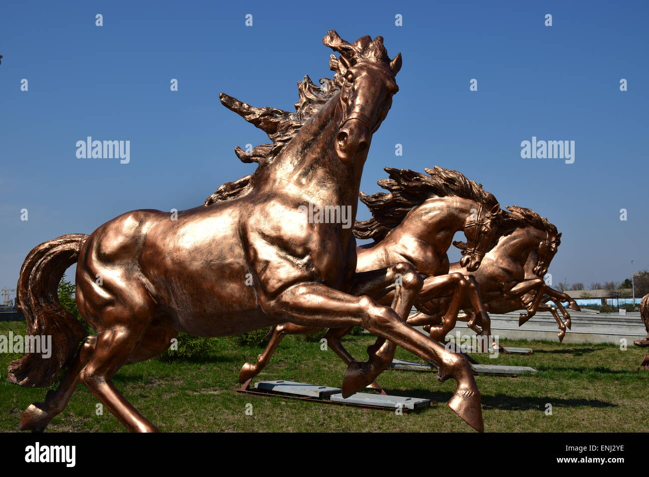 Bronze sculpture featuring a racing horse near New Opera House in ...