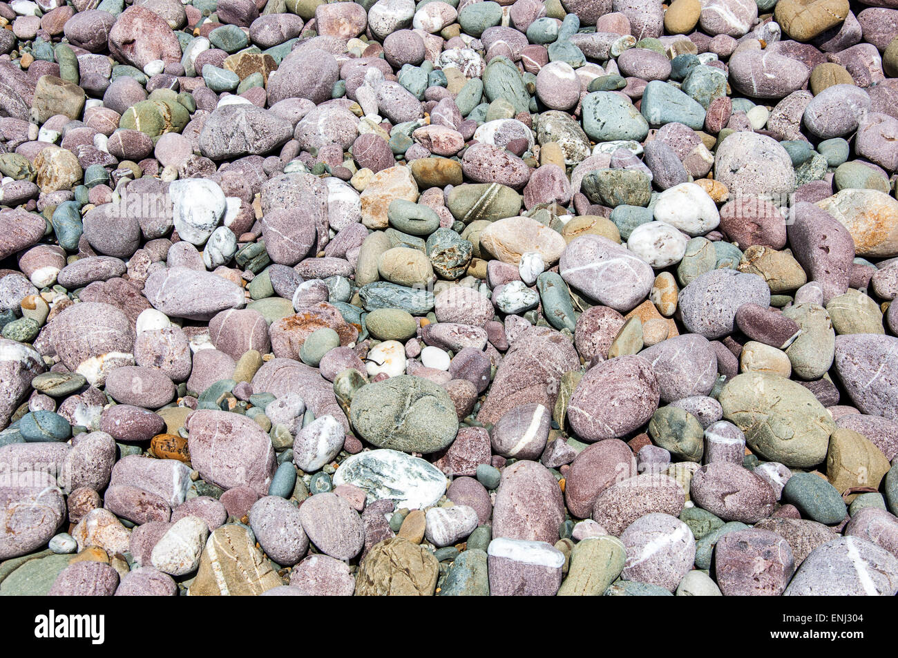 Mix of warm coloured pebbles on the beach at Marloes sands in ...
