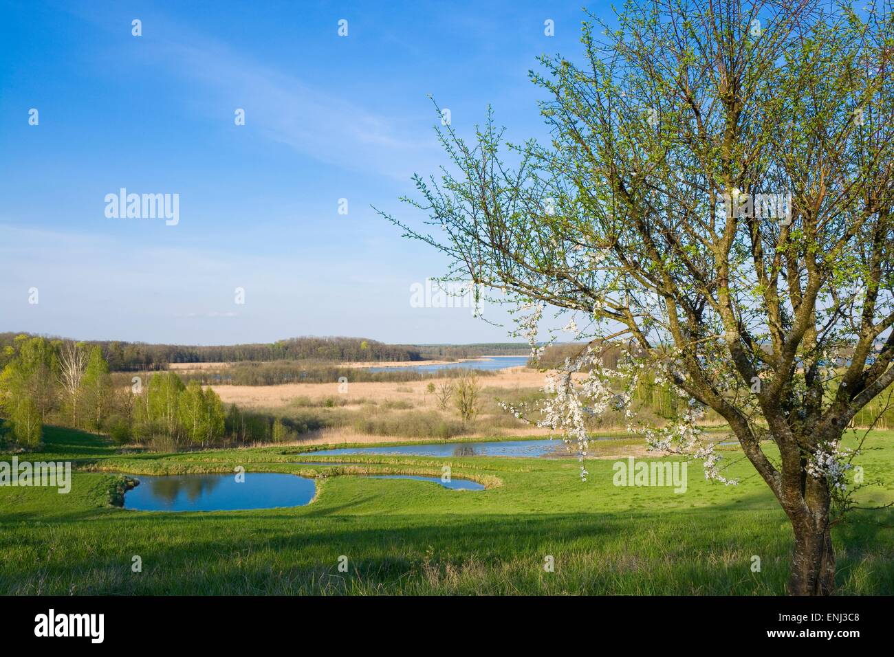 Beautiful spring landscape - top view of lakes and hills of Masuria ...