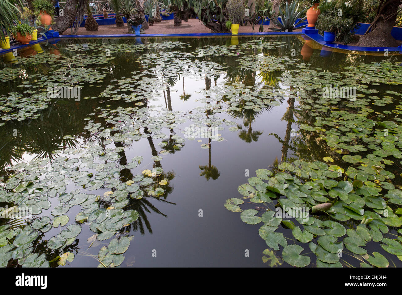 The blue garden marrakech hi-res stock photography and images - Alamy