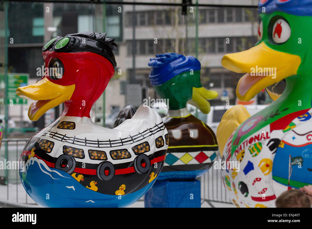 Liverpool, Merseyside, UK. 6th May, 2015. AquaDucks being painted for ...