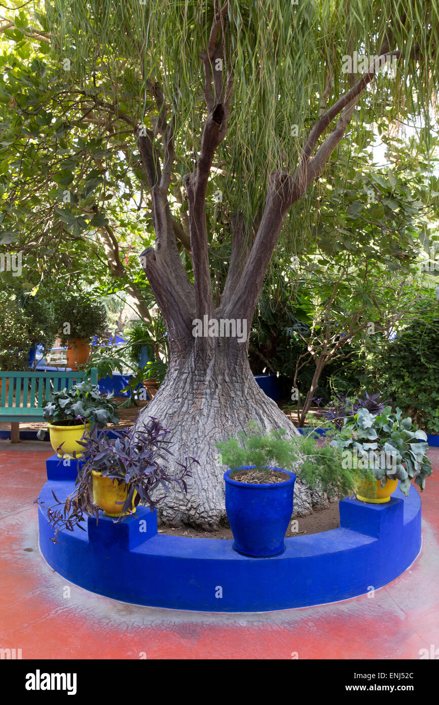 Yves Saint Laurent garden Morocco Marrakech Marrakesh Moroccan gardens ...