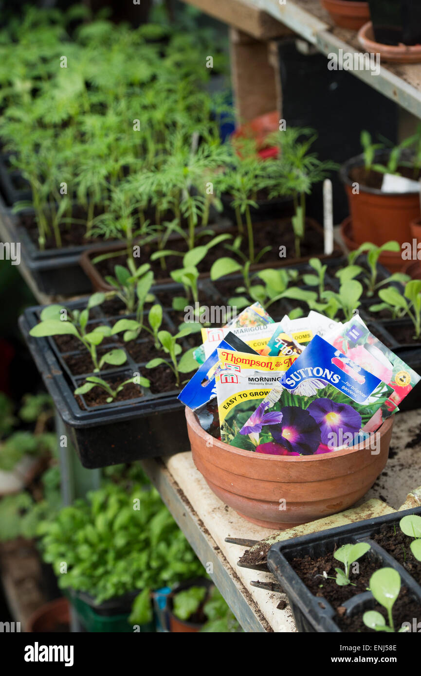 Packets of seed spring uk garden hi-res stock photography and images ...