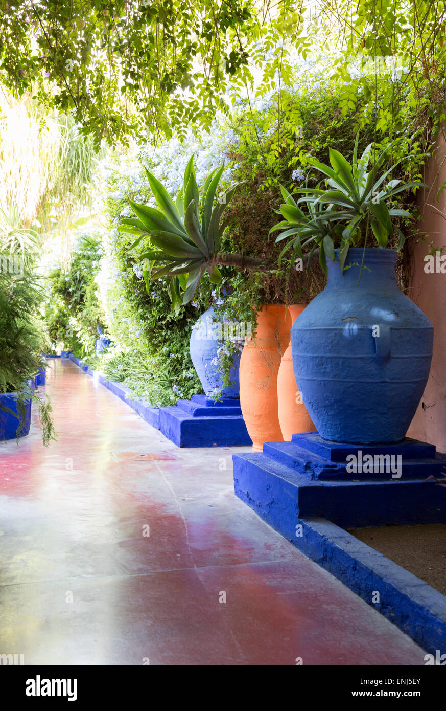 Yves Saint Laurent garden Morocco Marrakech Marrakesh Moroccan gardens ...