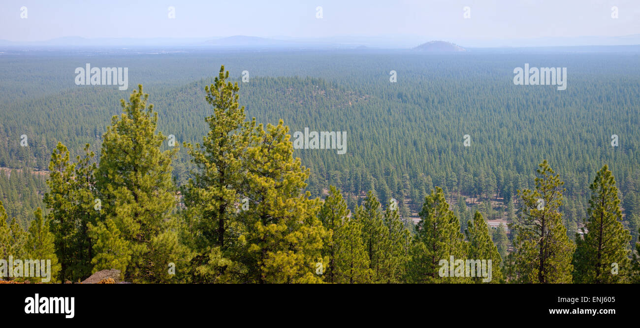 Landscape of a dense forest from Lava Butte in Central Oregon Stock ...