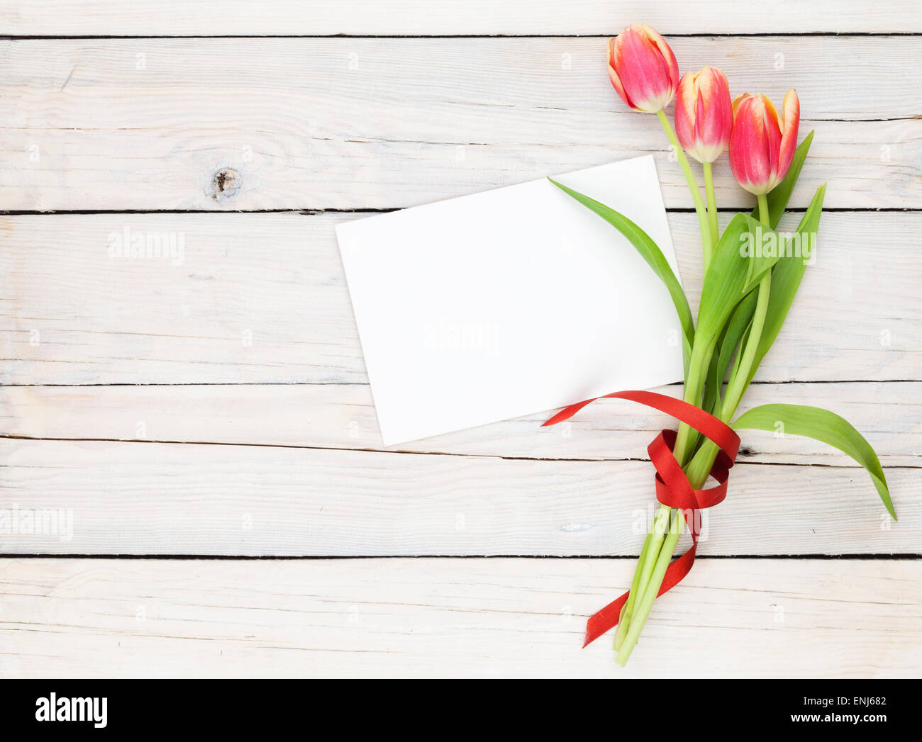 White tulip blank card hi-res stock photography and images - Alamy