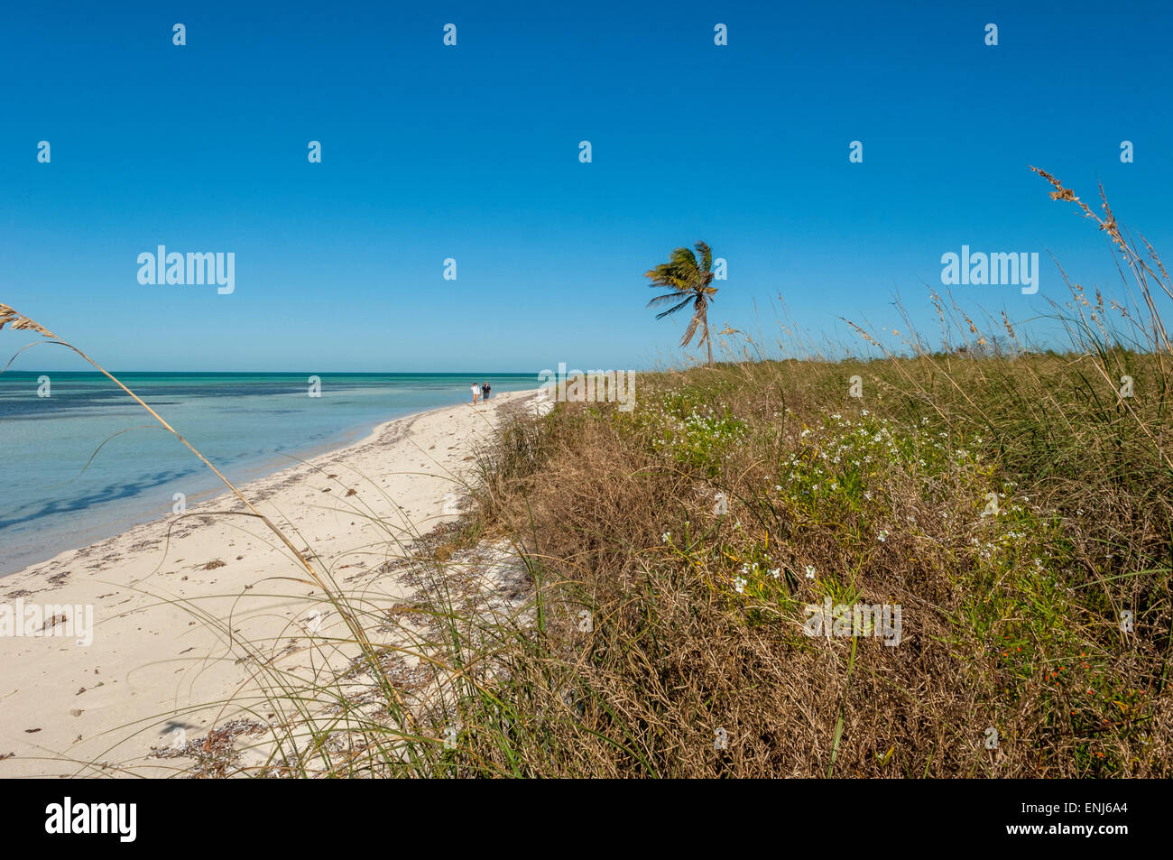 Marquesas keys hi-res stock photography and images - Alamy
