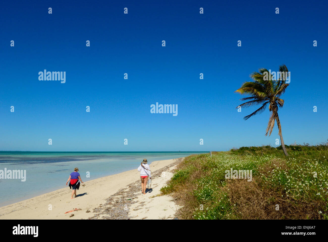 A remote Mangrove island. The Key West National Wildlife Refuge, Lower ...