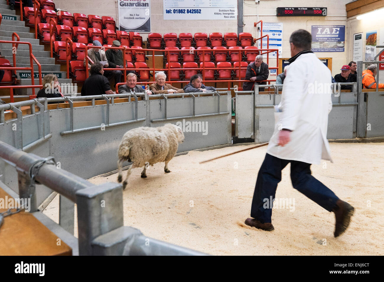 Charles kennedy local election campaign hi-res stock photography and ...