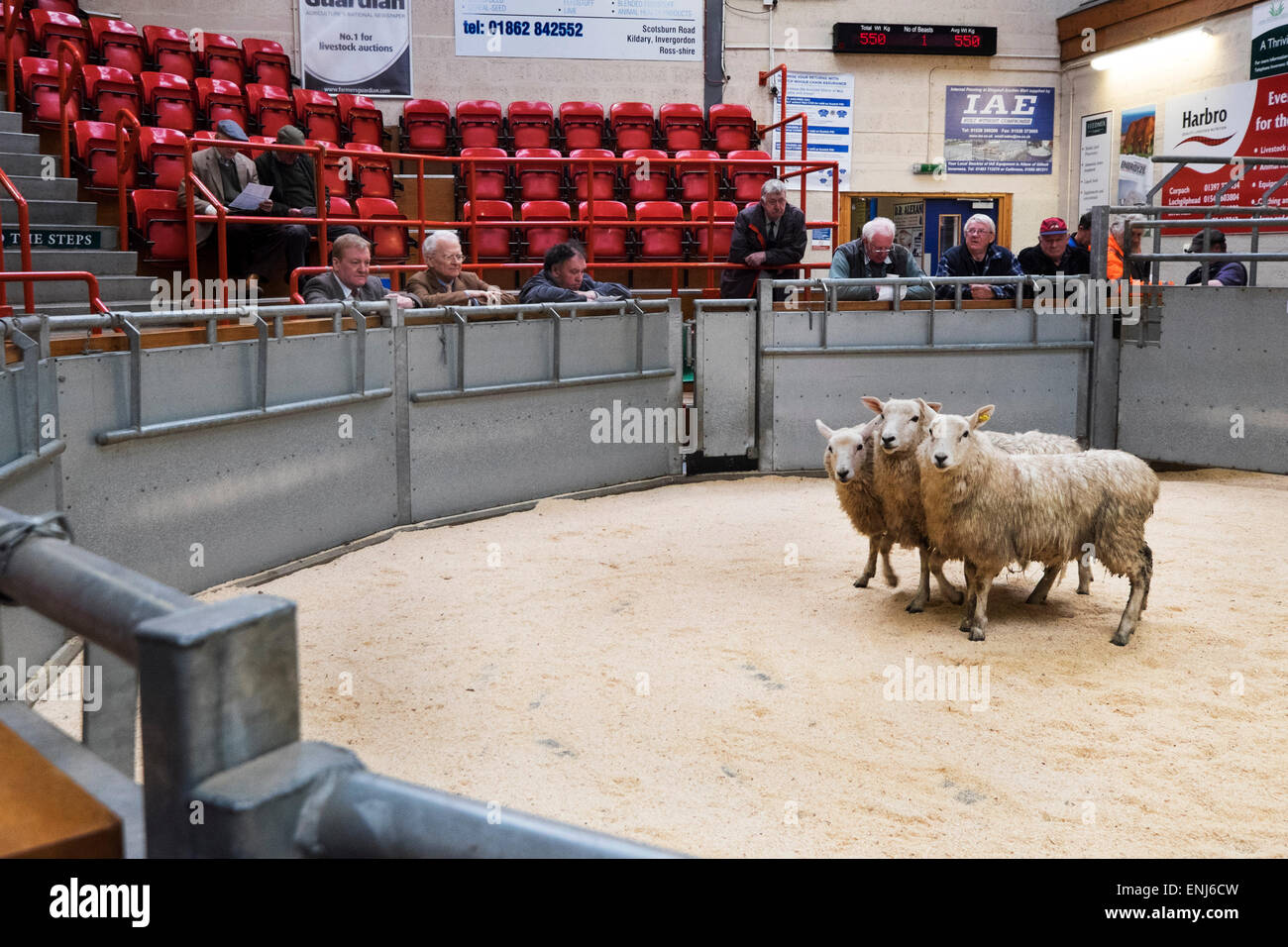 2015 charles kennedy democrat hi-res stock photography and images - Alamy