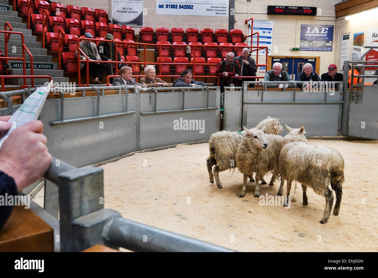2015 charles kennedy democrat hi-res stock photography and images - Alamy