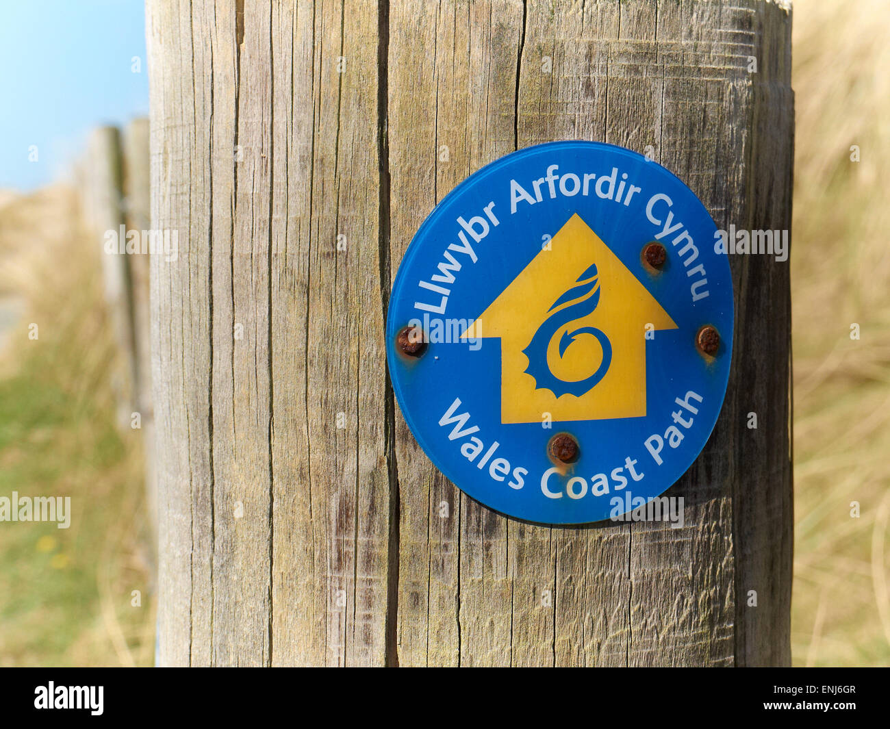 Wales Coast Path sign Stock Photo - Alamy