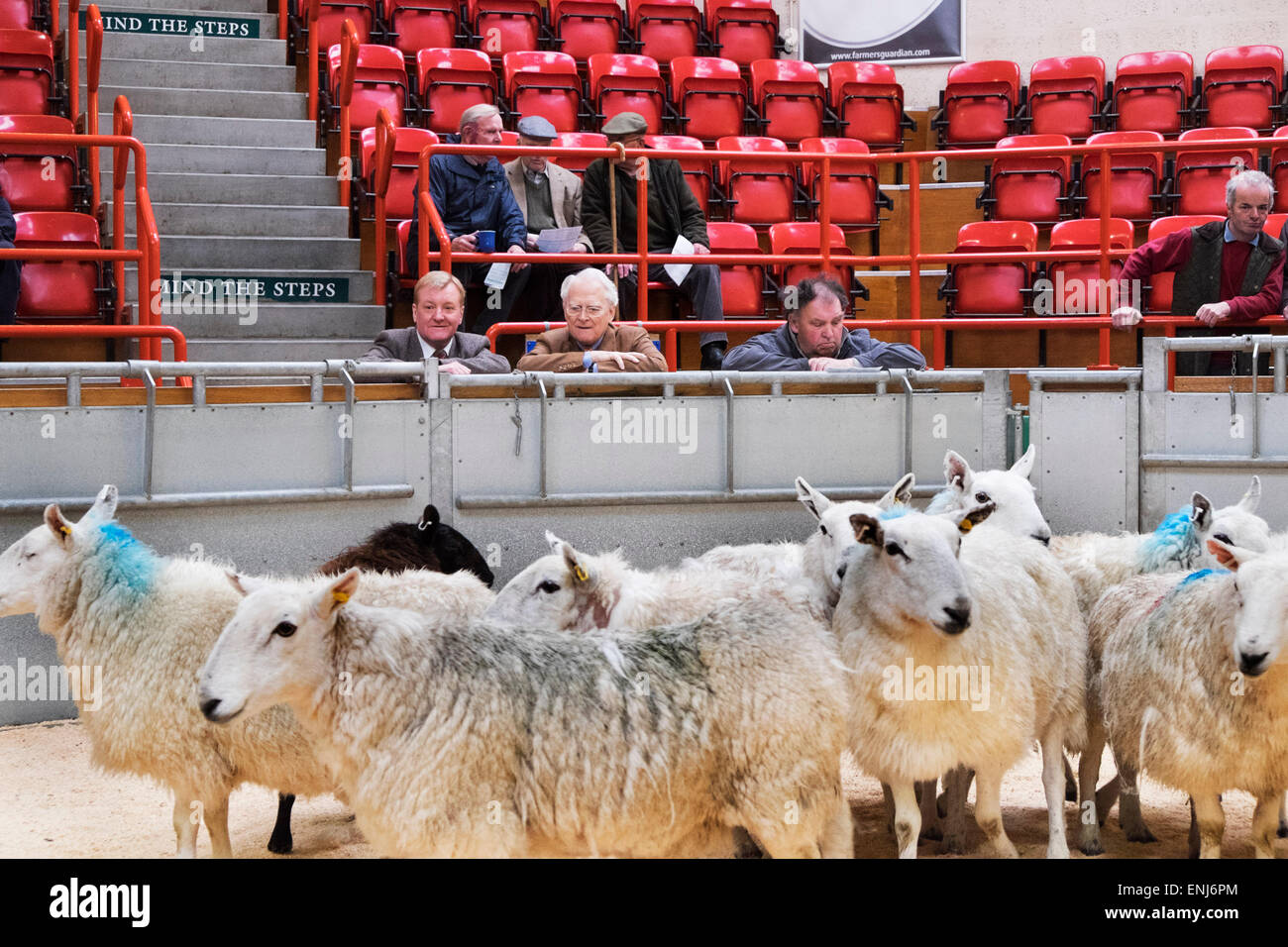 2015 charles kennedy democrat hi-res stock photography and images - Alamy