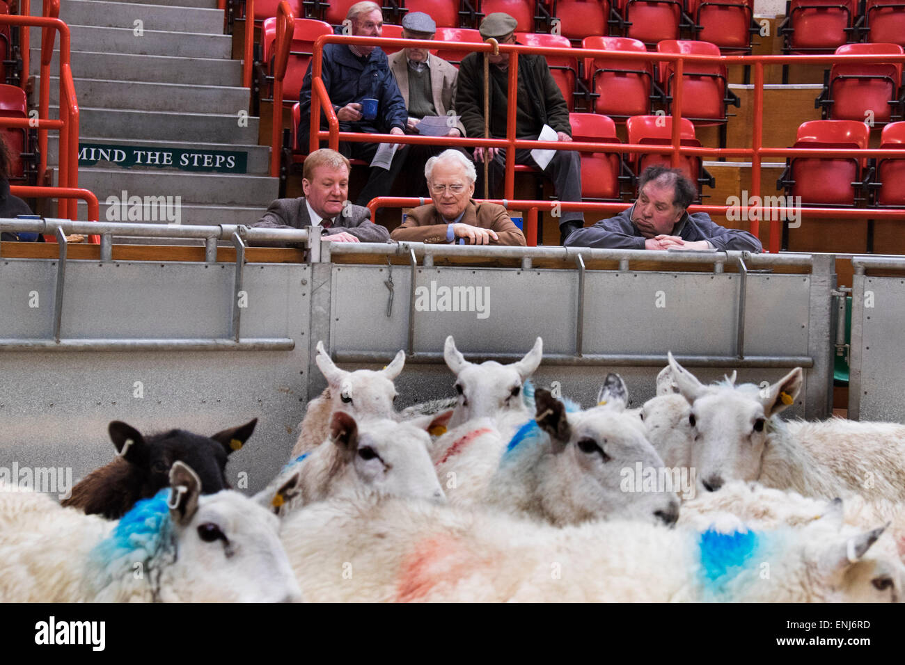 2015 charles kennedy democrat hi-res stock photography and images - Alamy