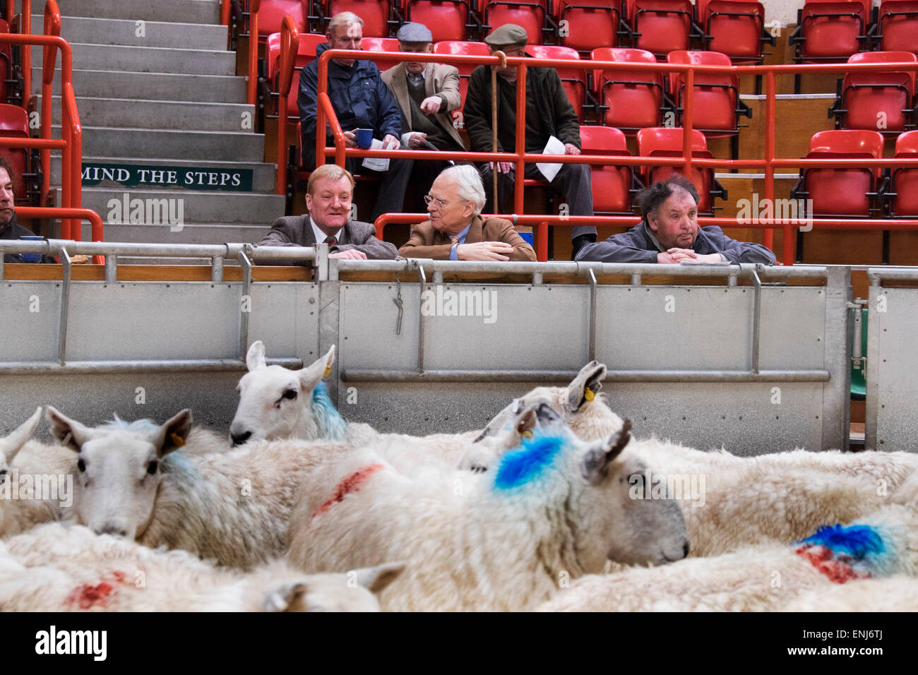 2015 charles kennedy democrat hi-res stock photography and images - Alamy