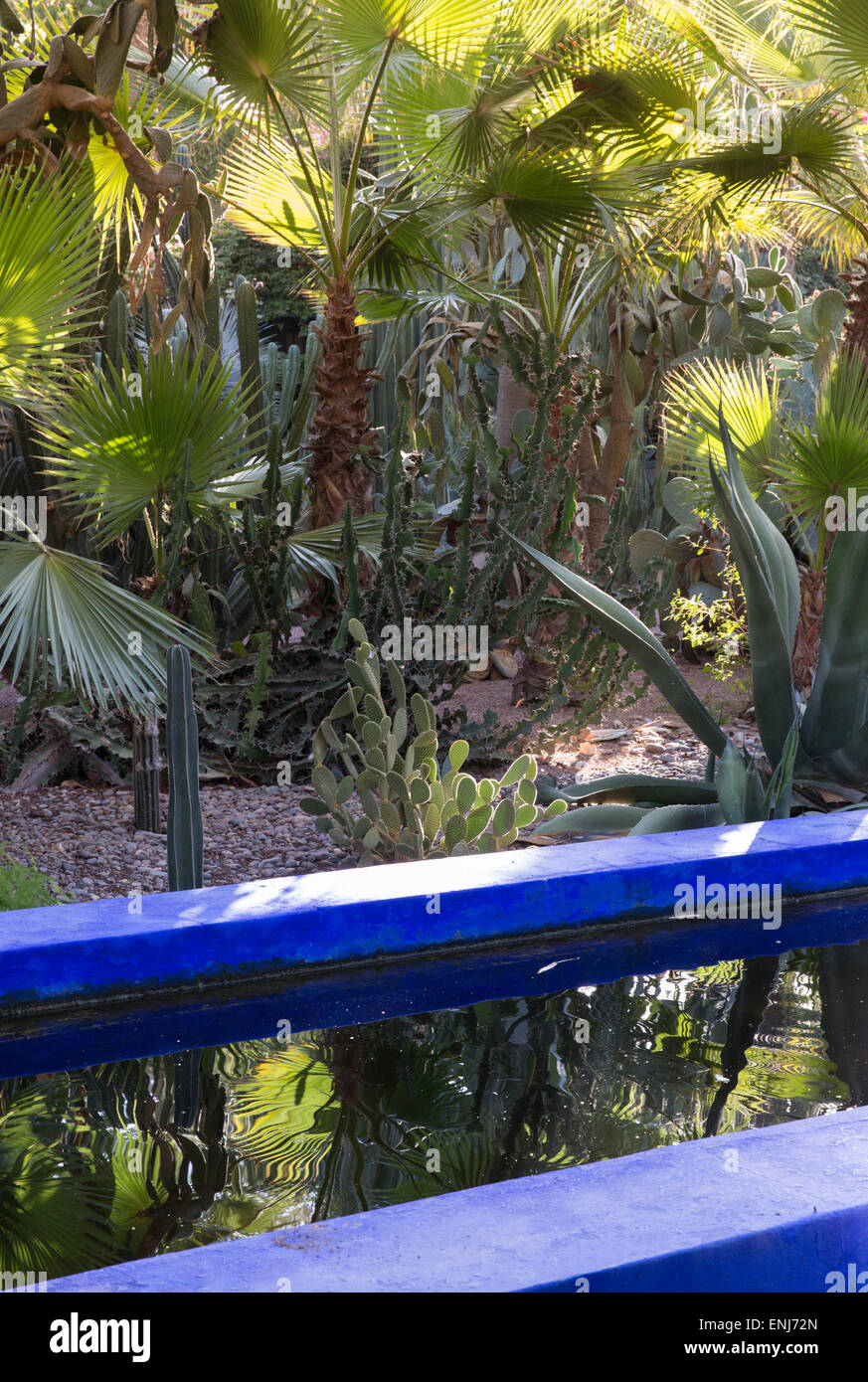 Yves Saint Laurent garden Morocco Marrakech Marrakesh Moroccan gardens ...