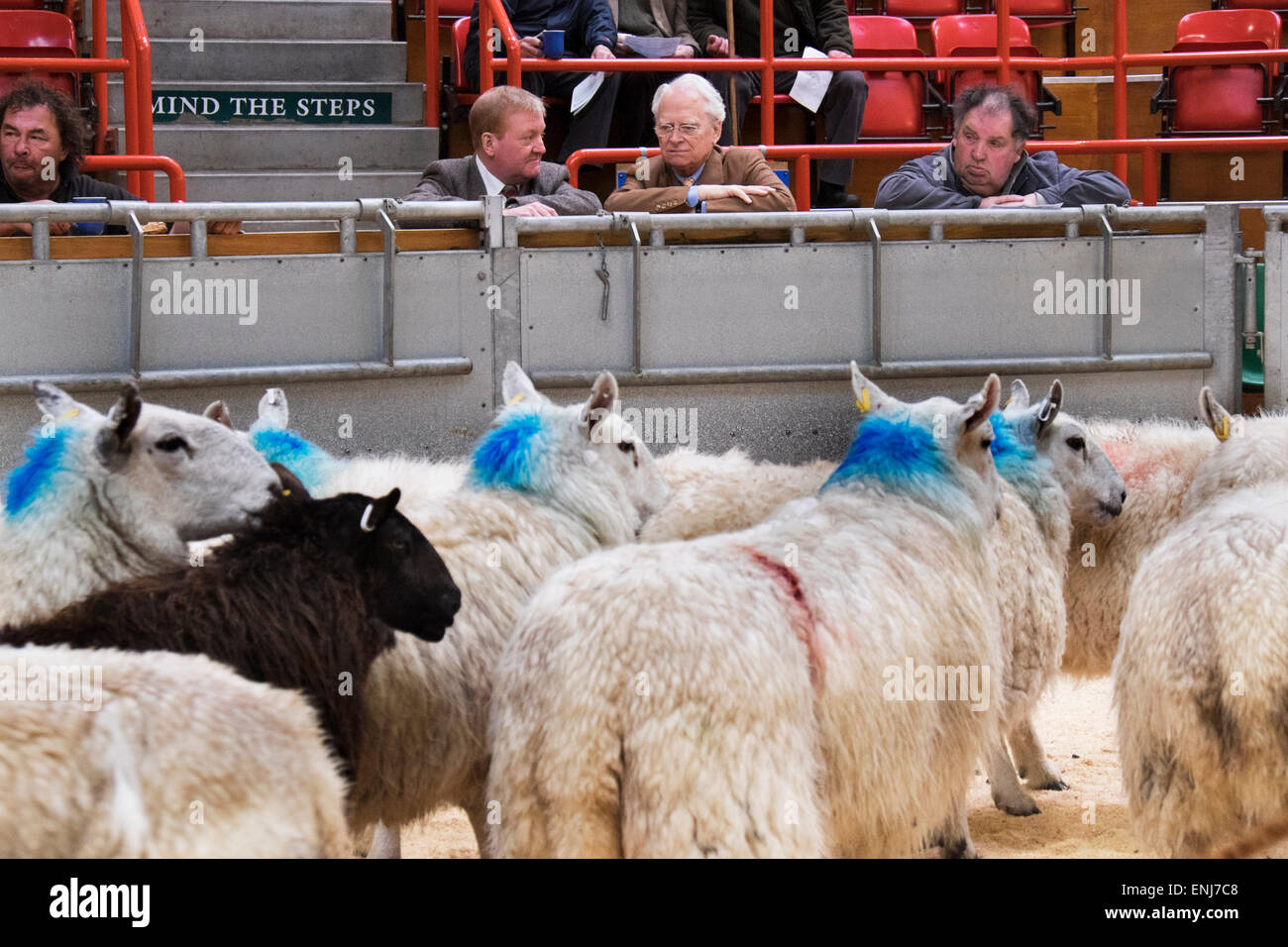 2015 charles kennedy democrat hi-res stock photography and images - Alamy