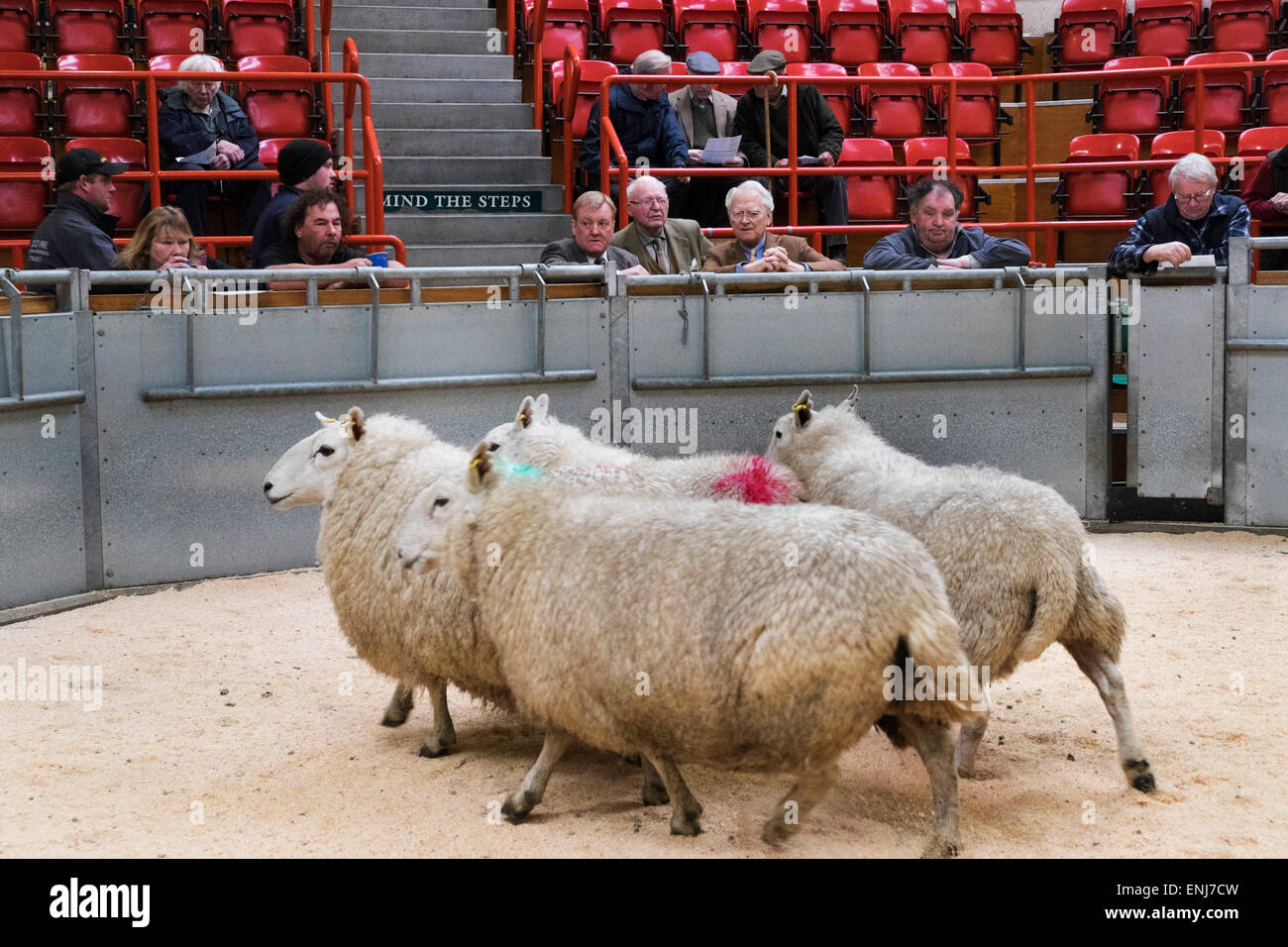 2015 charles kennedy democrat hi-res stock photography and images - Alamy